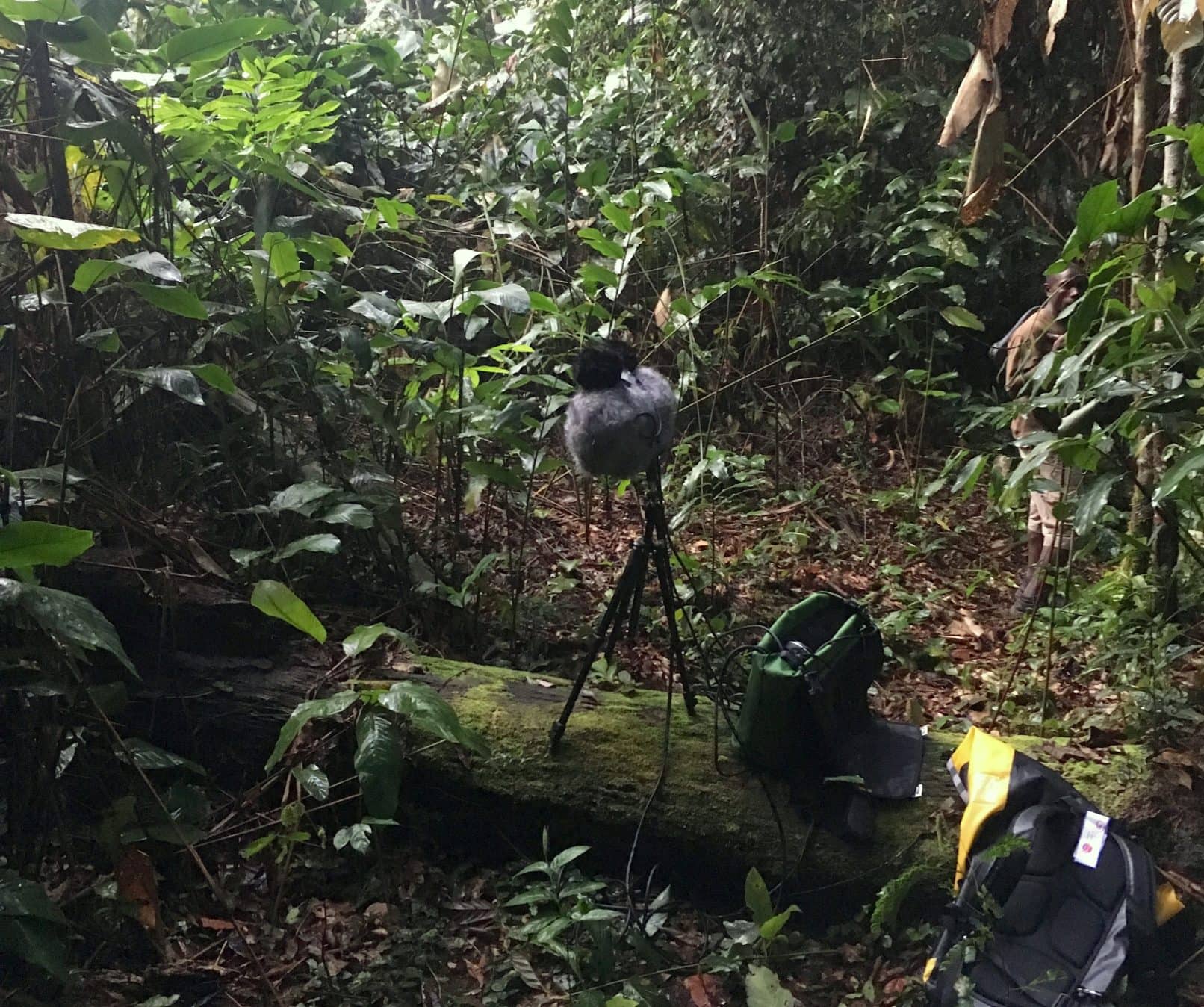 Field Recording - STUDIOKAMP I Music & Sound Design