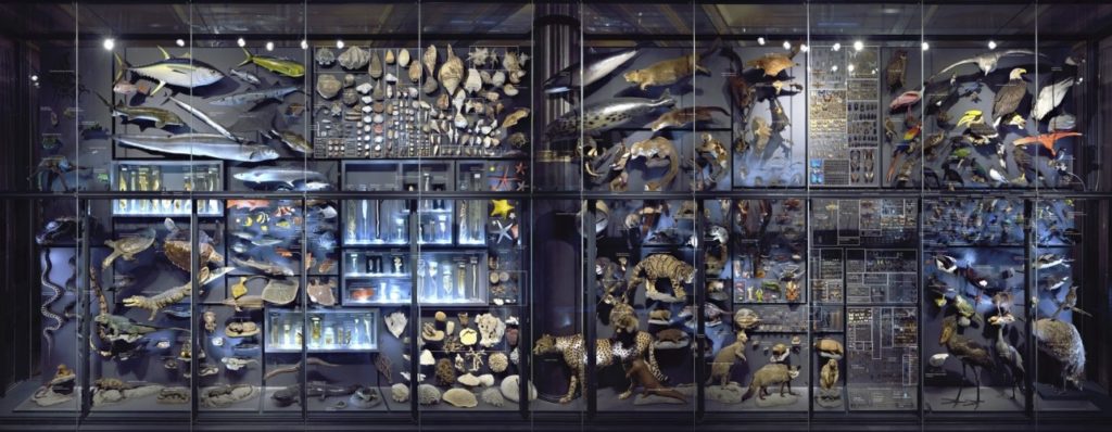 Sound Art, Exhibition Sounds and Sound Design for Museums